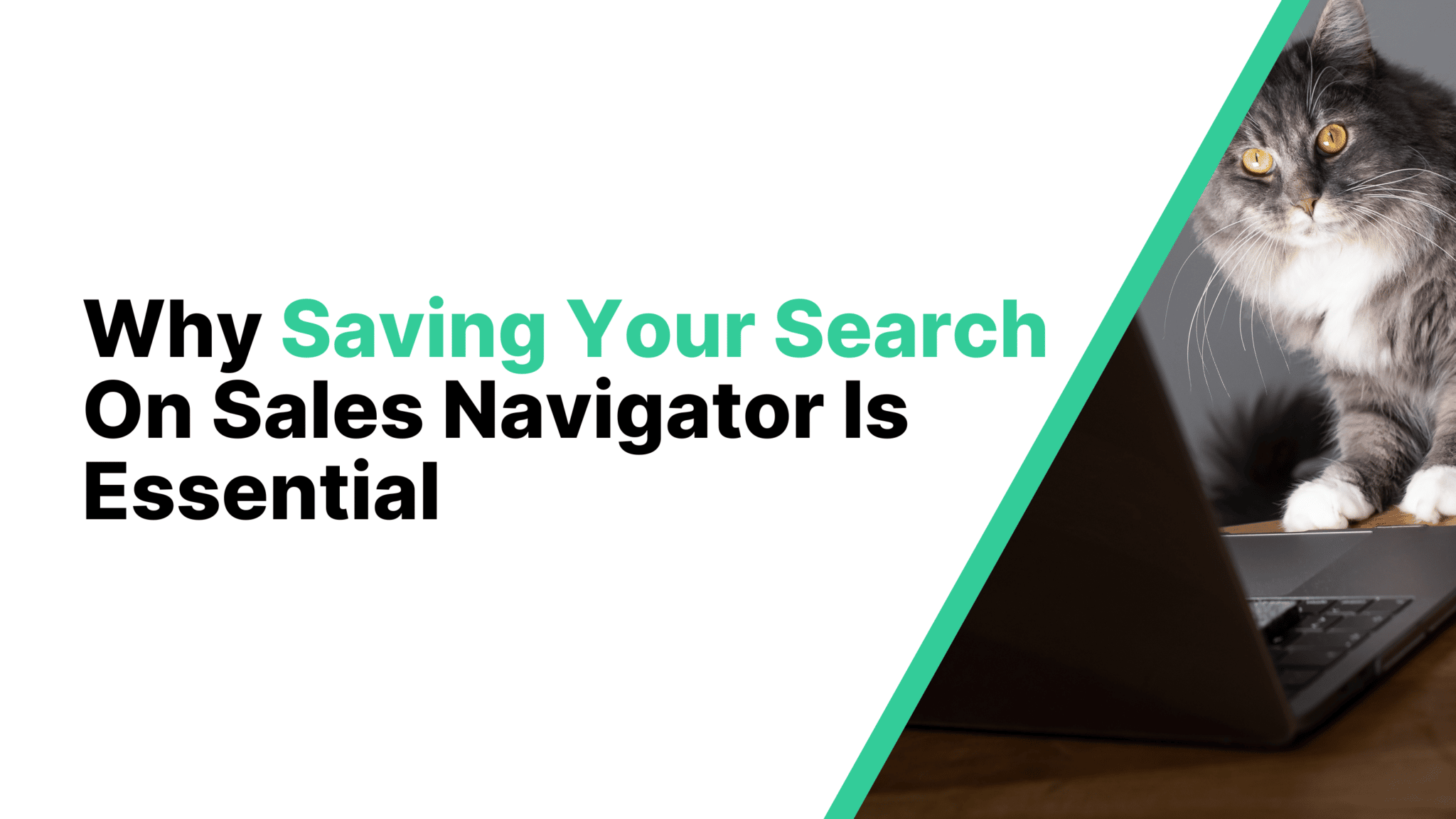 Why Saving Your Search Is Essential On Sales Navigator