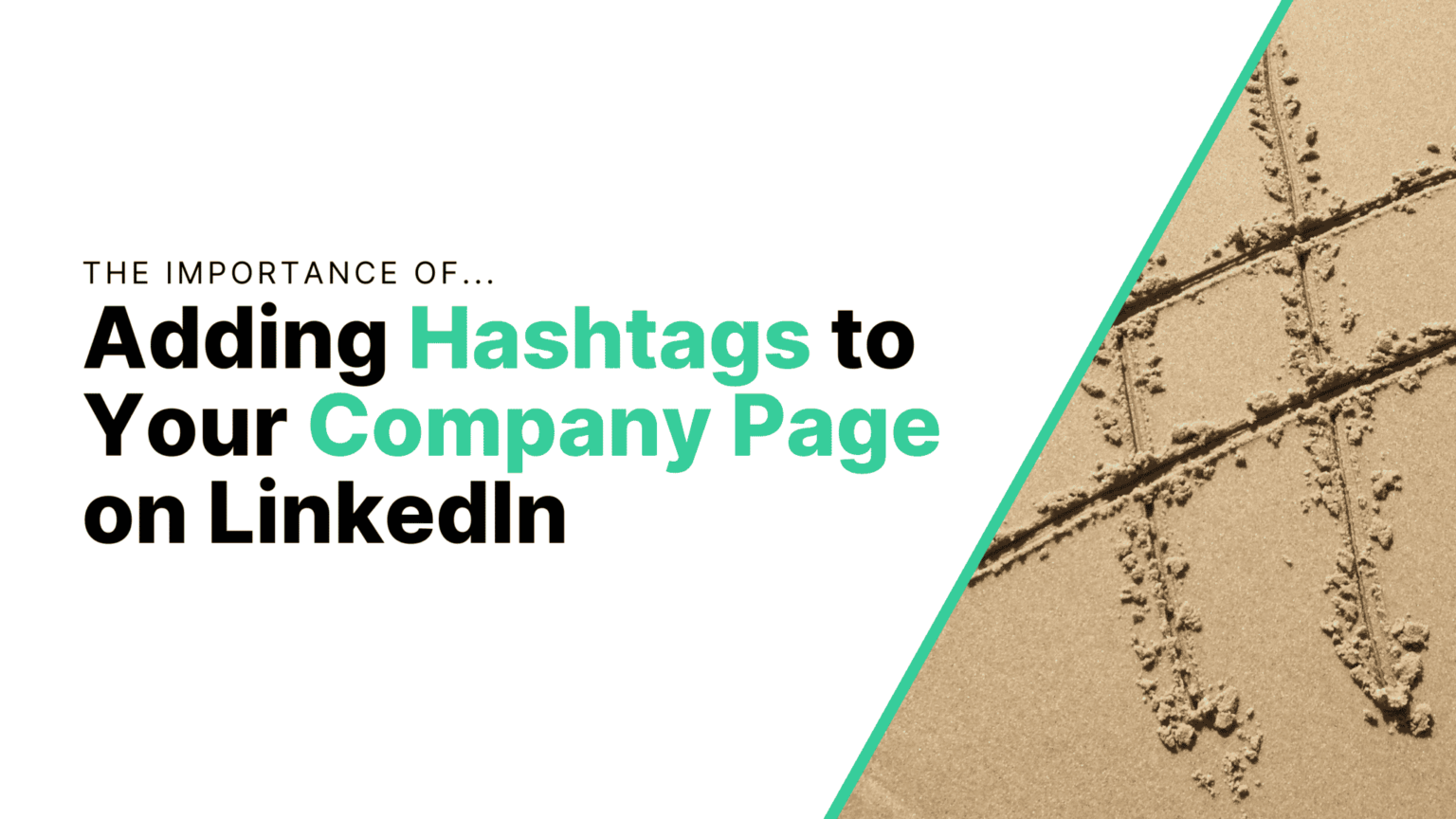 Adding Hashtags to Your Company Page