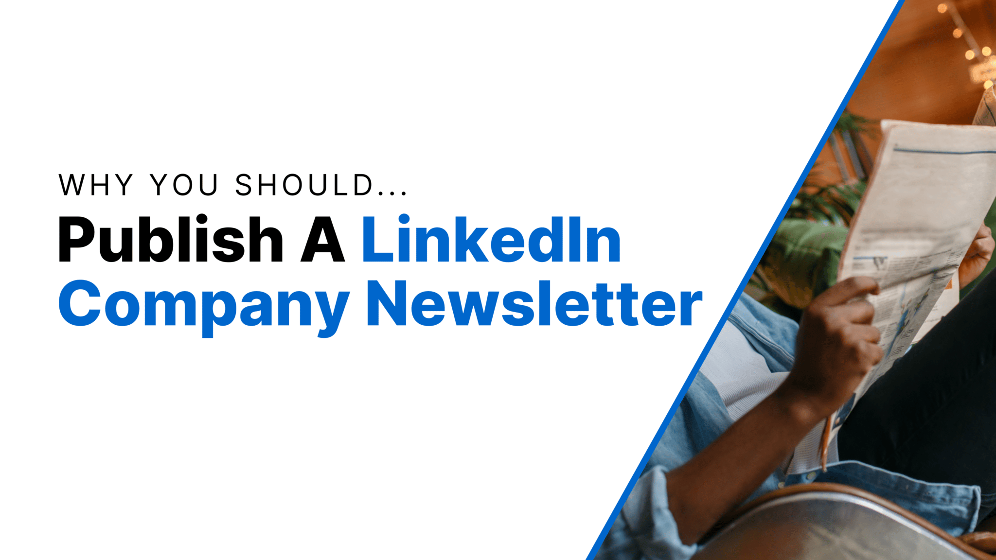 Why You Should Publish A LinkedIn Company Newsletter Why You Should Publish A LinkedIn Company Newsletter
